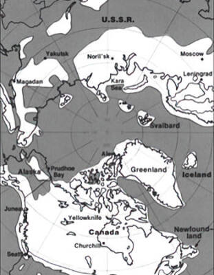 Smilodon » Características, Alimentación, Hábitat, Reproducción ...