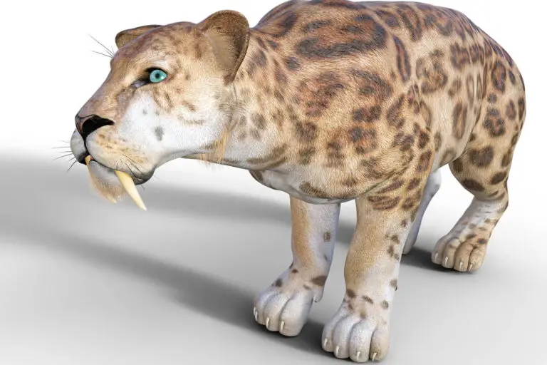 Animales De La Selva Tropical » Características, Alimentación, Hábitat ...